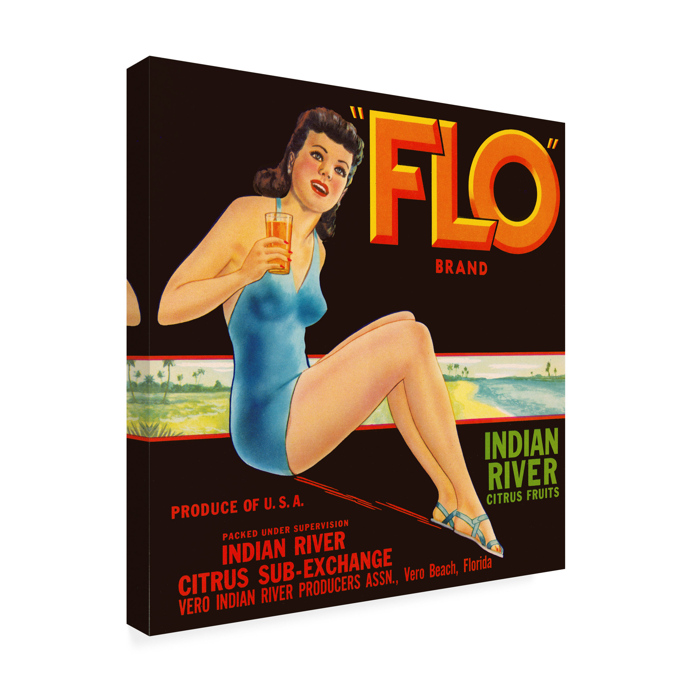 Winston Porter FLO Brand Citrus On Canvas by Print Collection Print | Wayfair